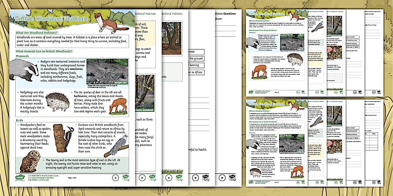 British Woodland Habitats Non-Fiction Reading Comprehension